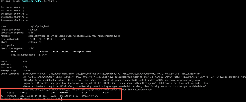 Deploying JAVA Spring Boot Application to the SAP BTP Cloud Foundry ...