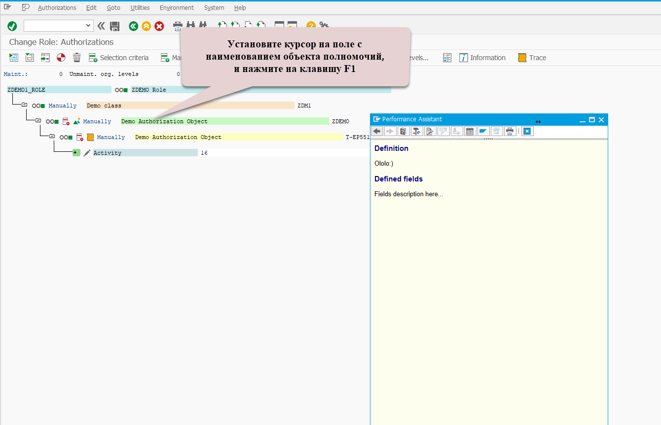 How To Create A Custom Authorization Object 3777