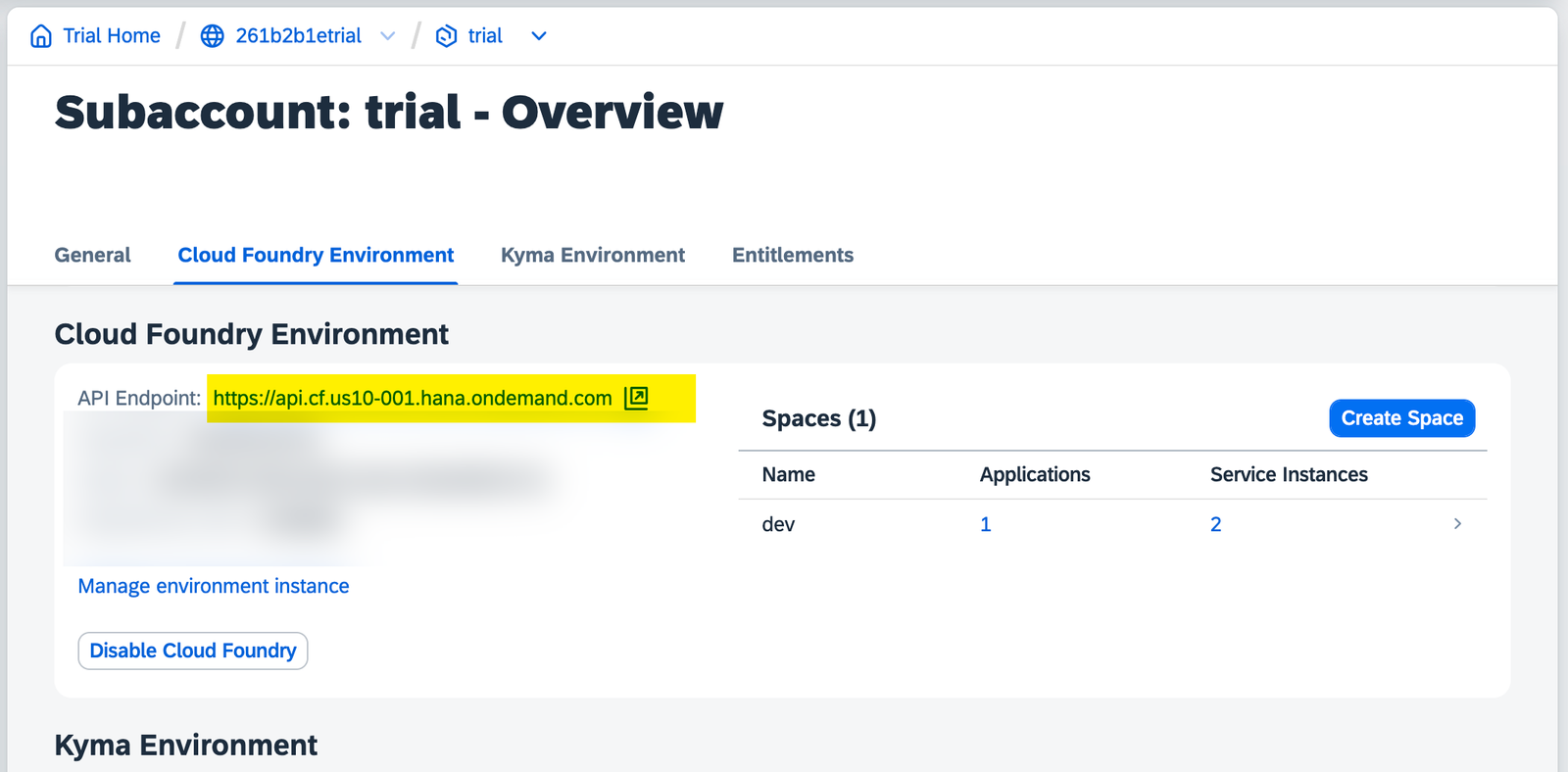 Deploying Java Spring Boot Application To The Sap Btp Cloud Foundry